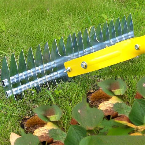 Grass Dethatcher Rake Buy Online And Save Australia Wide Delivery