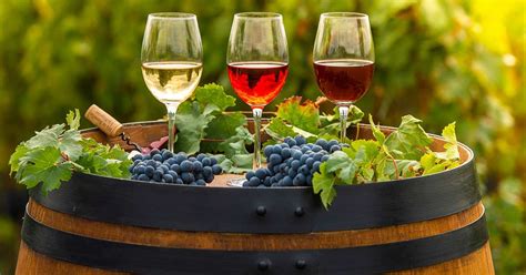 Lion Spirit Winery Lambouri Winery Ltd