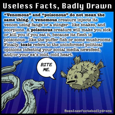 Useless Facts Badly Drawn” 33 Random Bits Of Trivia That Are Totally True Bored Panda