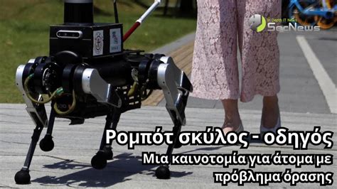 Κίνα Ρομπότ σκύλος οδηγός βοηθά άτομα με πρόβλημα όρασης Youtube