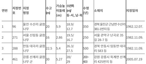 영양 송하리 졸참나무와 당숲 국가지정문화재 천연기념물 지정 예고 한국역사문화신문