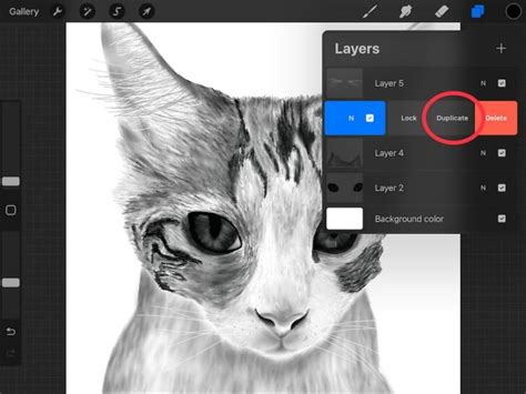 How To Copy And Paste In Procreate The Easy Way Adventures With Art