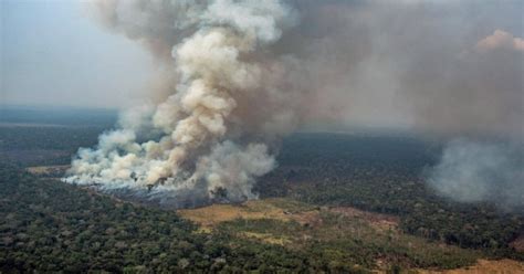 Para Bolsonaro La Crisis Por Los Incendios En El Amazonas Está