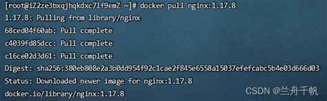 阿里云服务器docker安装和配置nginx服务一阿里云服务器docker部署nginx配置文件 Csdn博客