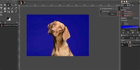 Detailed Review Of GIMP The Pros And Cons Edits 101