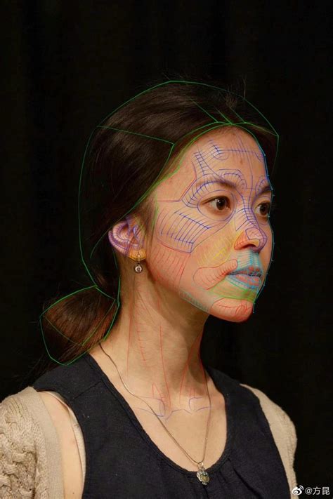 Pin On Drawing In 2024 Anatomy Sculpture Human Anatomy Art Facial