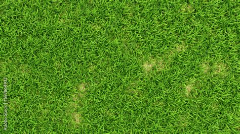 Green Grass Background Top Down View Of Green Grass Field Stock Illustration Adobe Stock