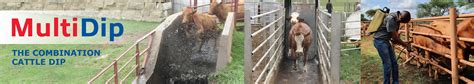 Multidip Cattle Dip For External Parasites Virbac South Africa