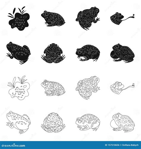 Isolated Object Of Wildlife And Bog Symbol Set Of Wildlife And Reptile