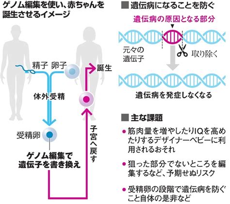現代社会における哲学の役割 高橋医院