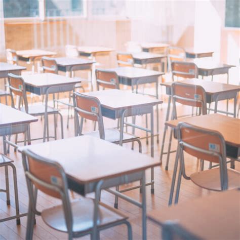 電子レンジ調理が不安なら「磁性鍋」がおすすめ！ 電磁波や酸化を簡単に予防できる調理器具ブランドをご紹介 海わたし