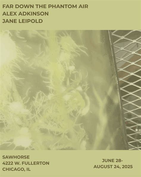 Jane Leipold And Alex Adkinson Far Down The Phantom Air The Visualist