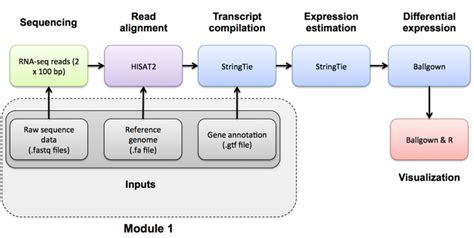 Rna Seq：（2）基因组注释文件 知乎
