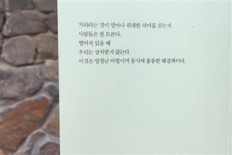 약간의 거리를 둔다 동네서점 땡스북스