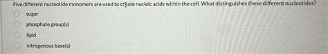Solved Five Different Nucleotide Monomers Are Used To Create