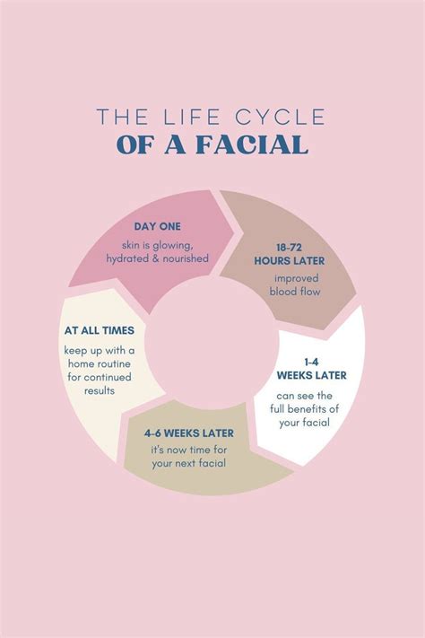 The Life Cycle Of A Facial Esthetician Marketing Skin Care