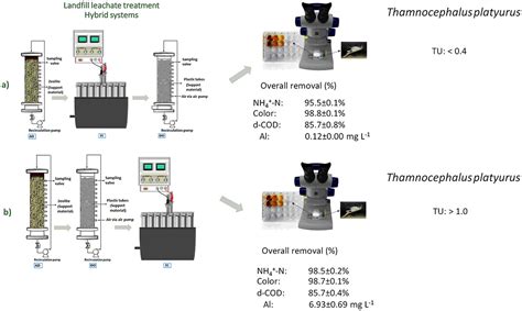 Treatment Of Raw Sanitary Landfill Leachate Using A Hybrid Pilot Scale System Comprising