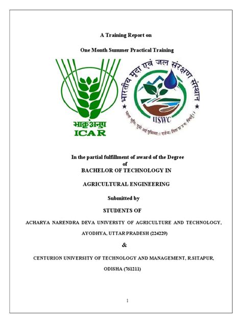 Iiswc Report Pdf