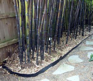 1mm Thick Bamboo Root Rhizome Barrier 60cm Deep