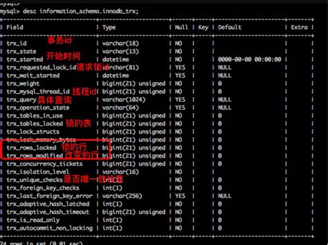 首页 凯哥Java java基础 spring boot学习 微服务 Java教程 Java web kaigejava 凯哥Java 凯哥Java