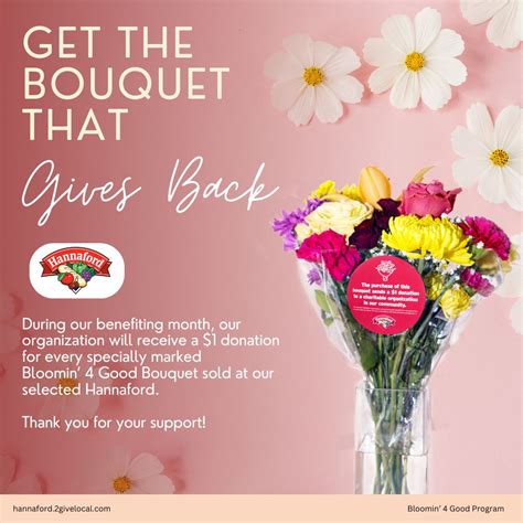 Classic Toolkit Hannaford Helps Reusable Bag Program