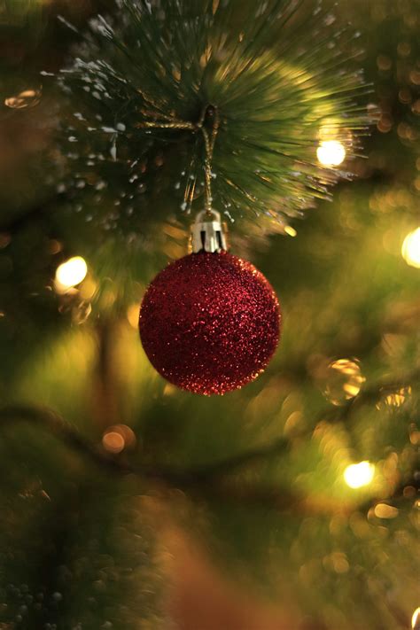 A Red Ornament Hanging From A Christmas Tree Photo Free Bangalore
