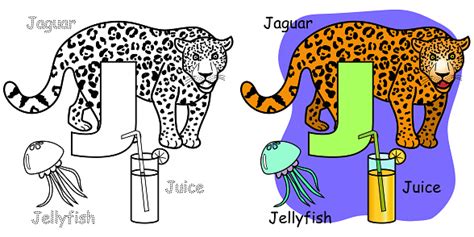 어린이를위한 영어 알파벳 색칠 공부책 편지 J는 재규어 해파리 주스입니다 벡터 그림입니다 교육에 대한 스톡 벡터 아트 및 기타 이미지 Istock