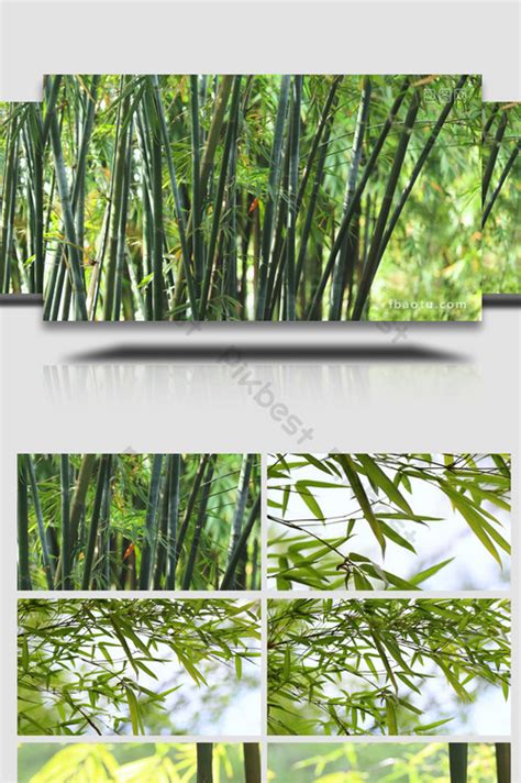 植被稀疏图片 植被稀疏素材下载第3页 包图网
