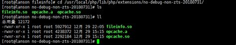 php7 3中fileinfo怎么安装与开启 linux bt 命令 php7 3 启用 finfo csdn博客