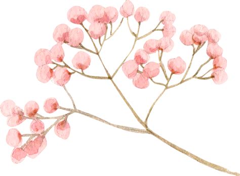 花花卉插画装饰植物贴纸素材和图片ID67cb75 Fotor懒设计
