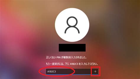 パソコン起動時に「正しくないpinが複数回入力されました。もう一度試すには、下にa1b2c3を入力してください。」と表示される場合の対処法