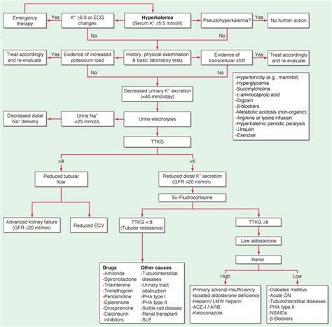 Hiperkalemia Diagnosis Dan Tatalaksana Kedokteran Caiherang