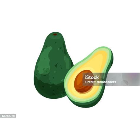 흰색 배경에 고립 된 밝은 색상의 만화 플랫 스타일로 두 개의 아보카도 컷과 전체 건강한 음식 벡터 일러스트레이션 유기농 식사