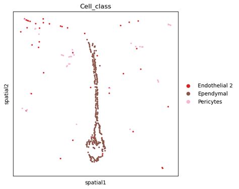 Analyze Merfish Data Squidpy Documentation