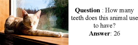 Figure 1 From Retrieval Augmented Visual Question Answering With
