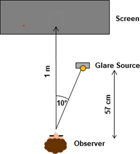 schematic illustration of the experimental setup for the peripheral