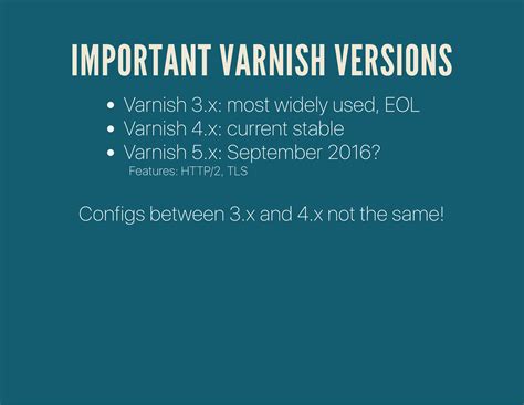 Varnish Explained