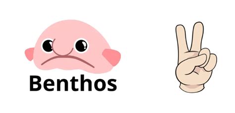 Benthos Stream Log File To Mongo Db— Part 2 By Foodzen Panda Level