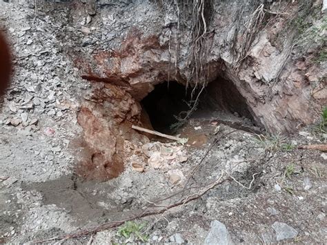 Disruptive Operation Between Saps And Sandf Nabbed Five Undocumented