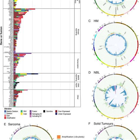 Tumour Mutation Burden Across The Cohort Somatic Single Nucleotide Download Scientific Diagram
