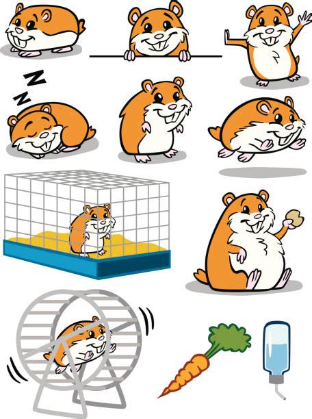 9800 Hamster Stock Illustrations Royalty Free Vector Graphics And Clip