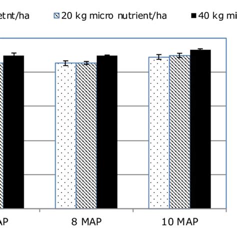 The Starch Content Of Cassava Storage Root At Different Harvest Age