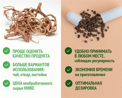 Скидка -10% на травы в капсулах для иммунитета и энергии