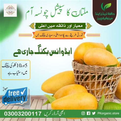 Special Multani Chounsa Mango Aam 5 10 Kg Packing Premium Quality