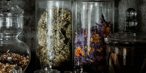 Top Cannabinoids List And Their Effects On The Human Body