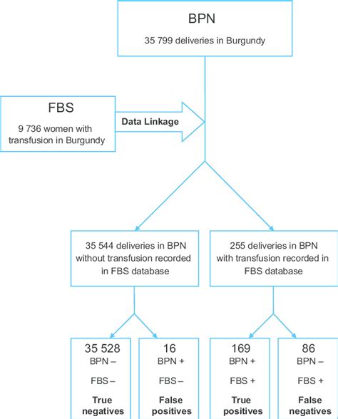 A Flow Chart Of The Linkage Of FBS And BPN Databases Birth Related Download Scientific Diagram