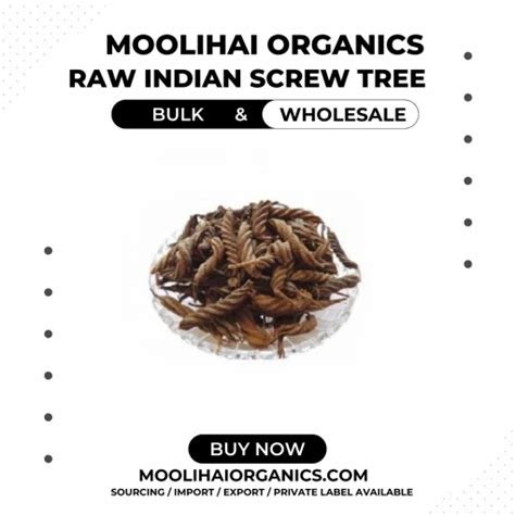 Raw Indian Screw Tree Valampuri Kaai At Best Price In Panagudi Id