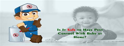 Termite Control Services In Hyderabad Doorstep Service And Best Price
