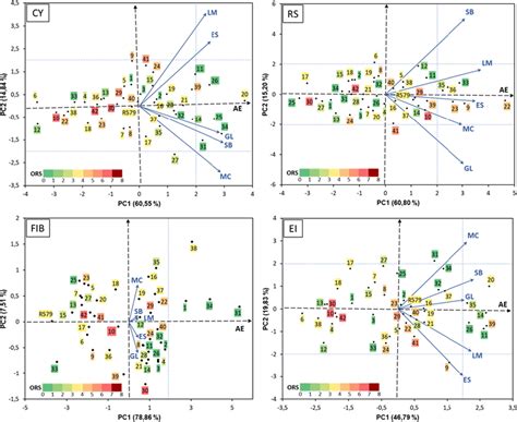 ‘genotype Plus Genotype X Environment Gge Biplots Of The Four