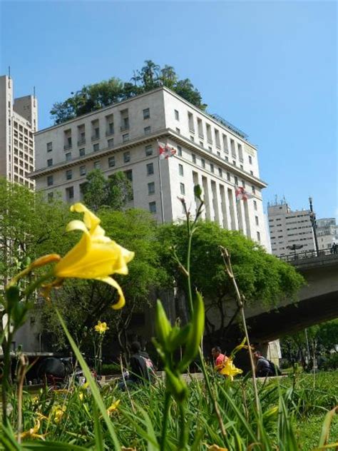 Edifício Matarazzo Prefeitura Do Município De São Paulo São Paulo